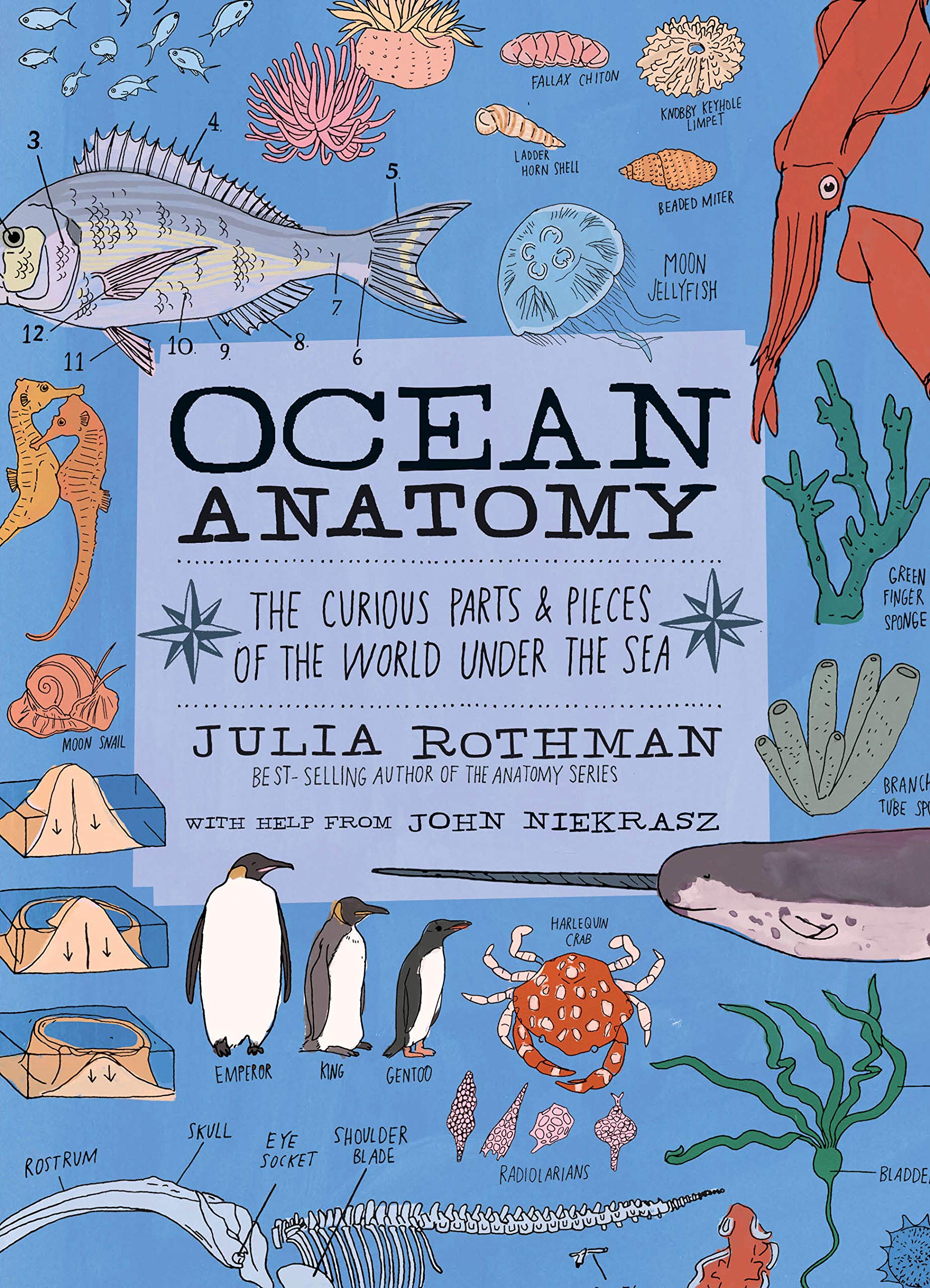 Ocean Anatomy: The Curious Parts & Pieces of the World Under the Sea ...
