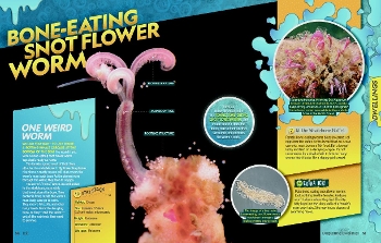 Teaching Nonfiction? What You Need To Know About the Differences ...